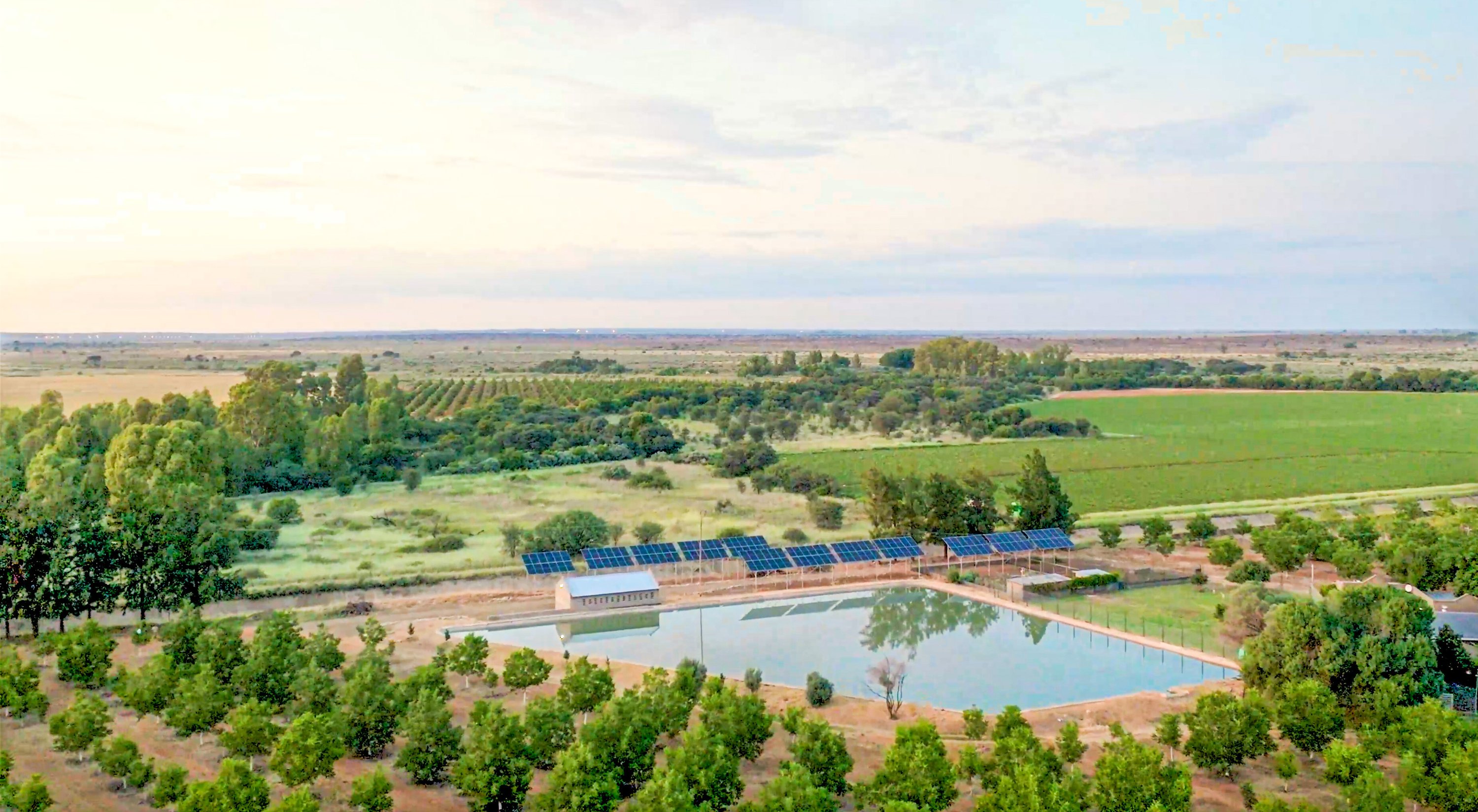 Customised Templates and Seamless Migration | Nutlink